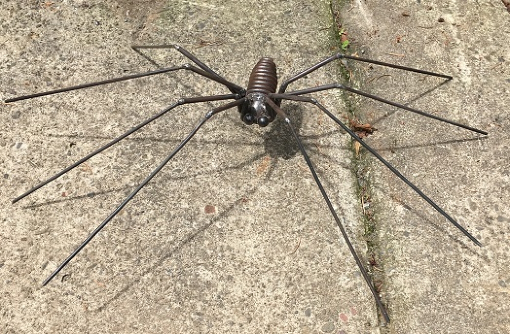 Small Spider | Ironbender